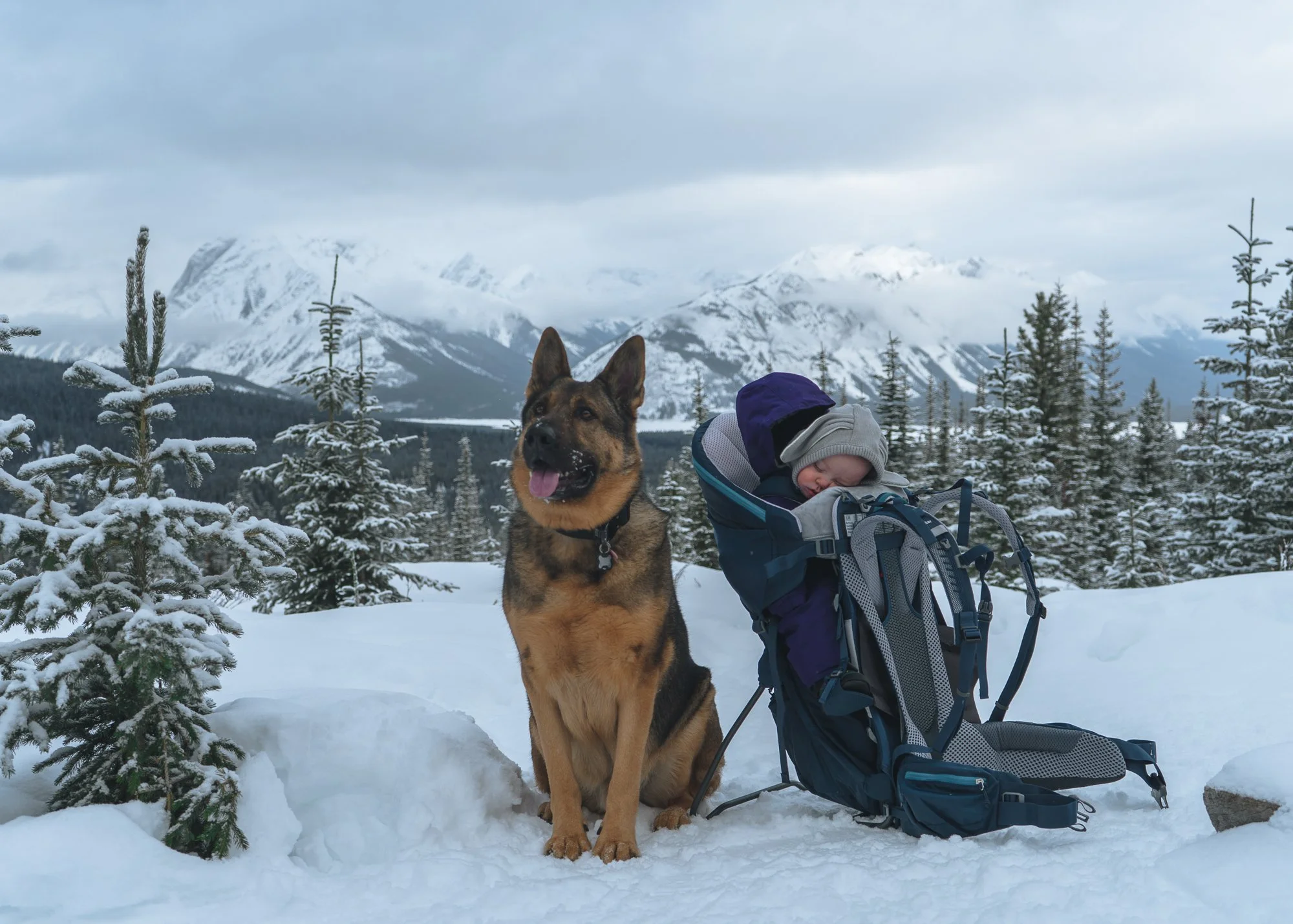 Snowshoeing the Rummel Lake Trail, Alberta Canada — Kat Knox
