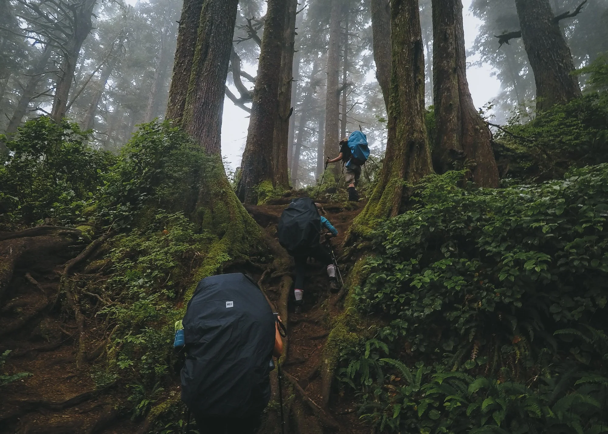 10 Essentials — Kat Knox