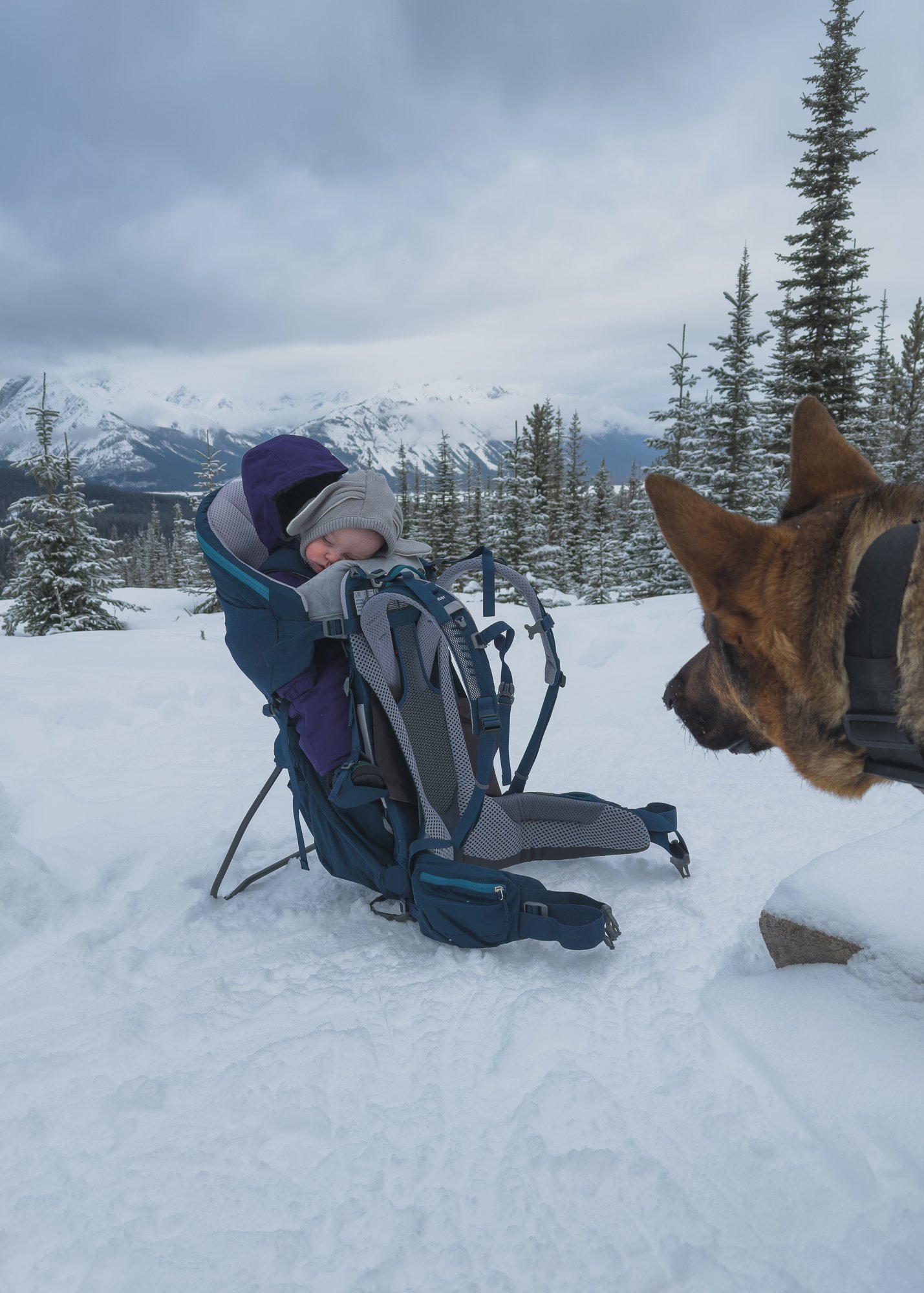 Snowshoeing the Rummel Lake Trail, Alberta Canada — Kat Knox