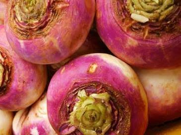 Share Details — Featherstone Farm