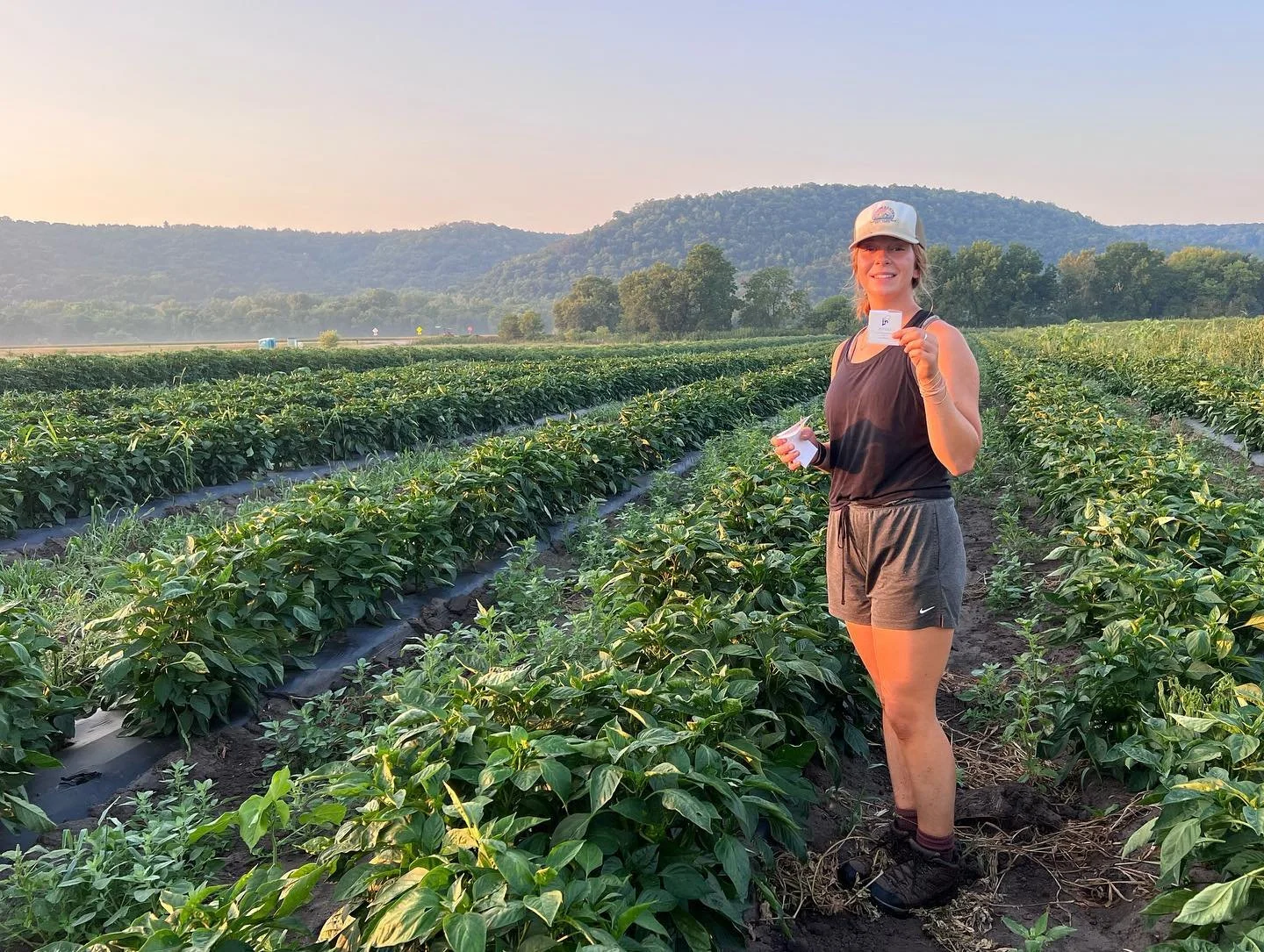 CSA Success #5: The Local Food Difference — Featherstone Farm