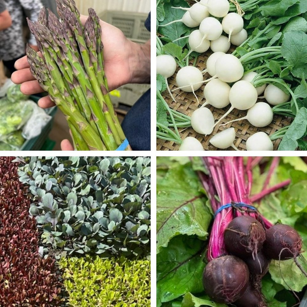 CSA Farm Box Subscriptions — Featherstone Farm