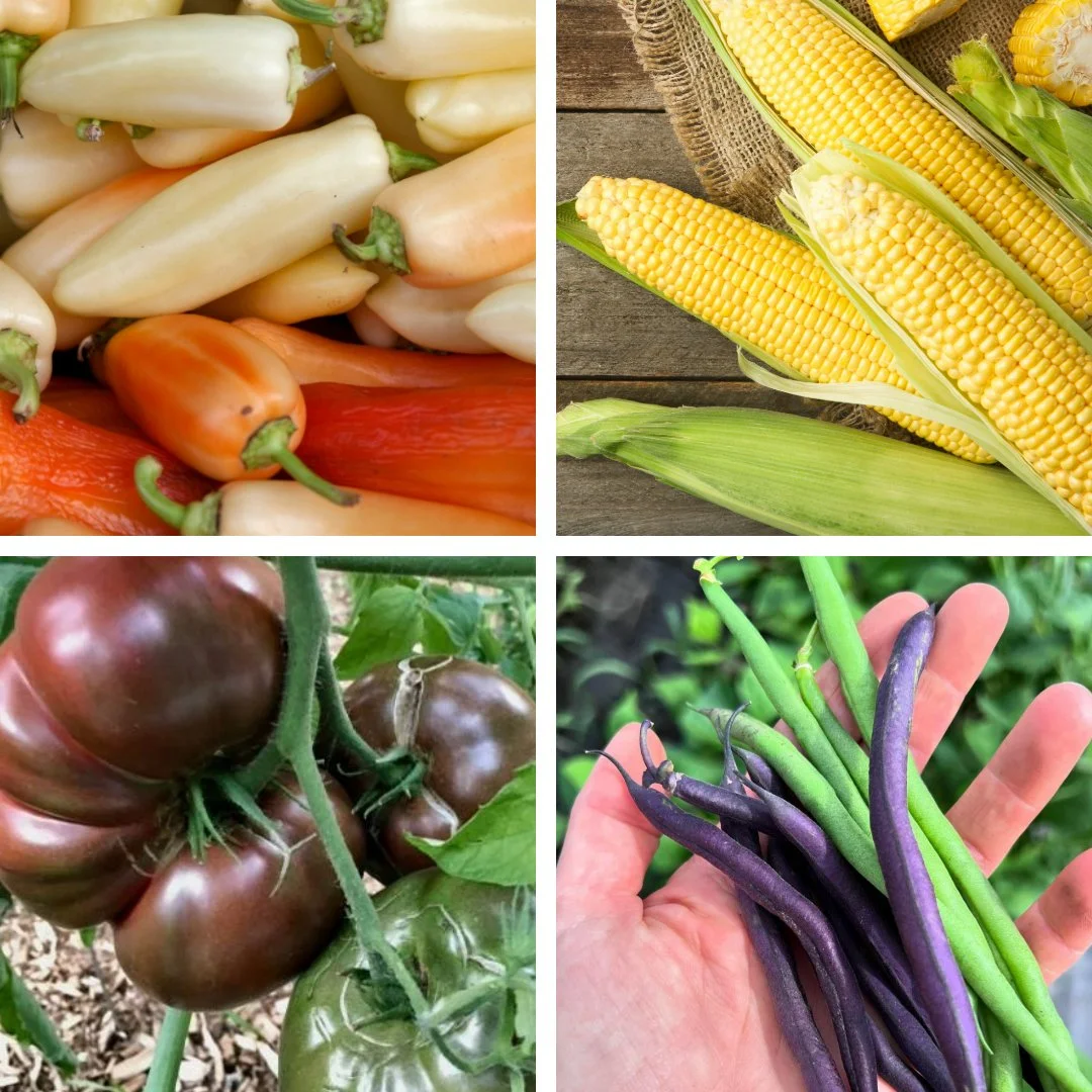 CSA Farm Box Subscriptions — Featherstone Farm