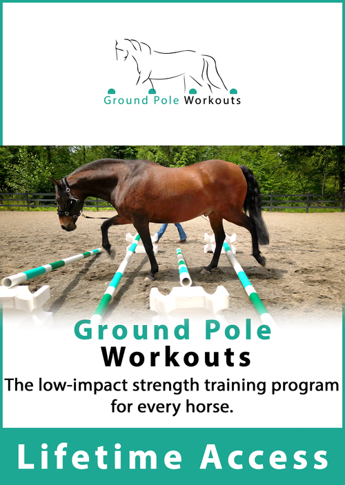 Ground Pole Workouts — Equine Bodywork Online