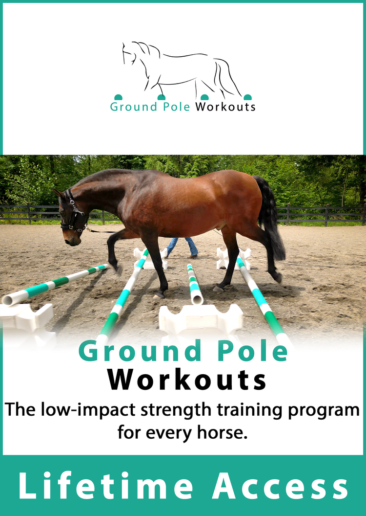 Ground Pole Workouts — Equine Bodywork Online
