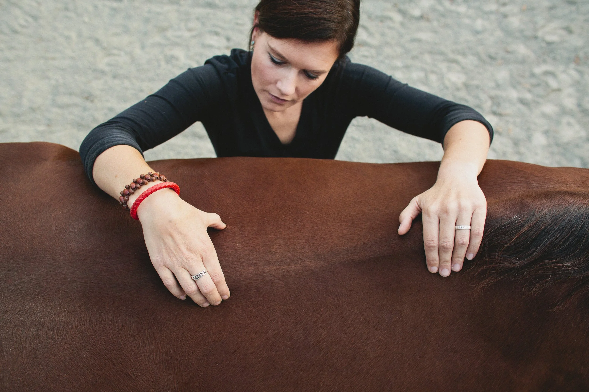 Relieve Tension — Equine Bodywork Online