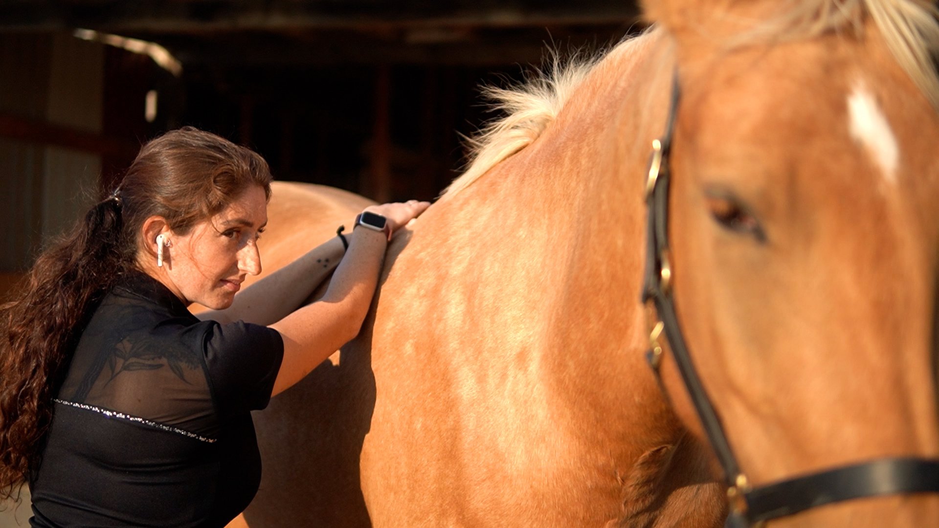 Audio Guides — Equine Bodywork Online