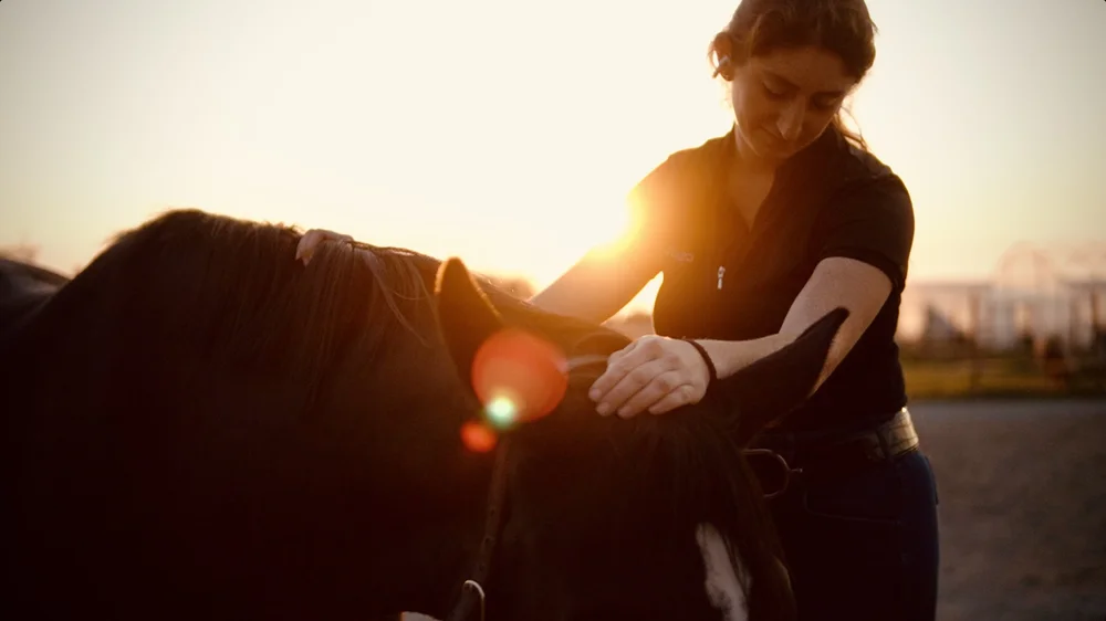 Equine Bodywork Online