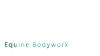 Equine Bodywork Online