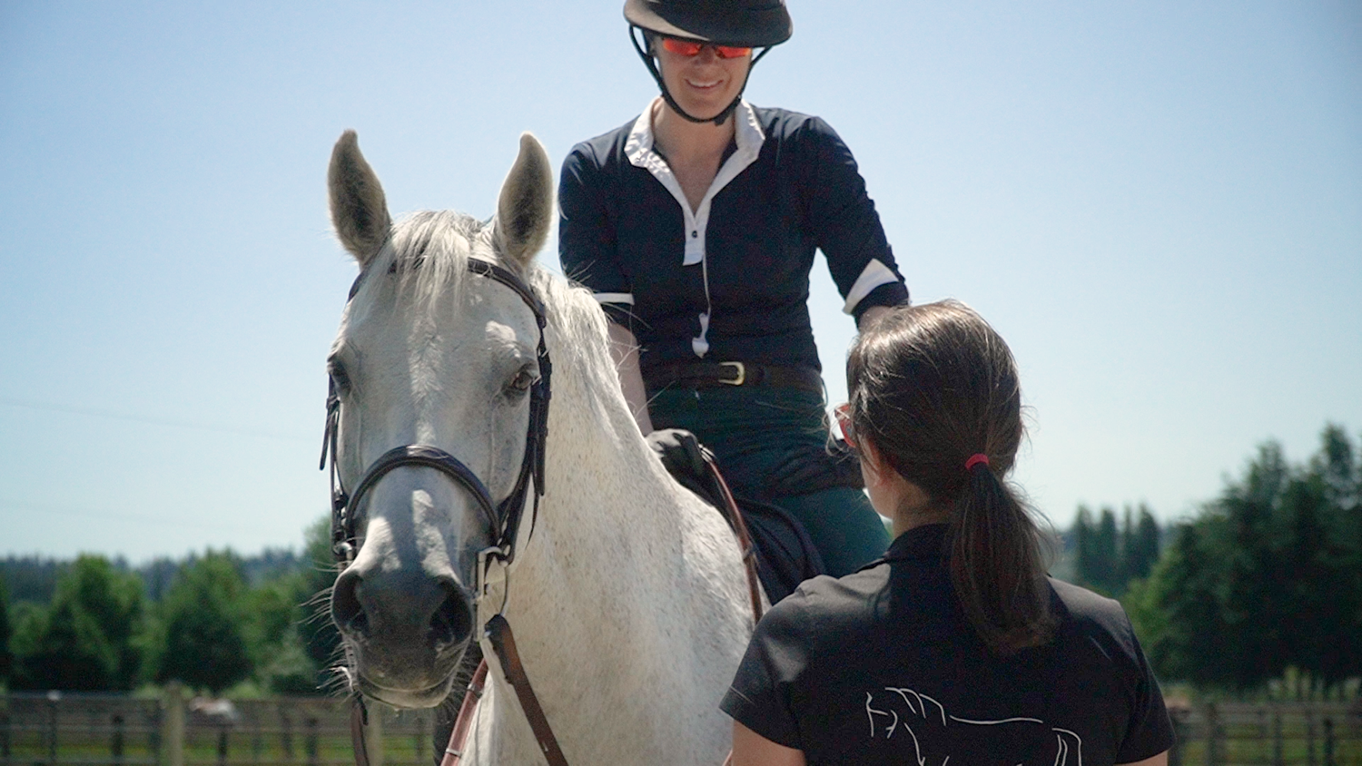 Equine Bodywork Online