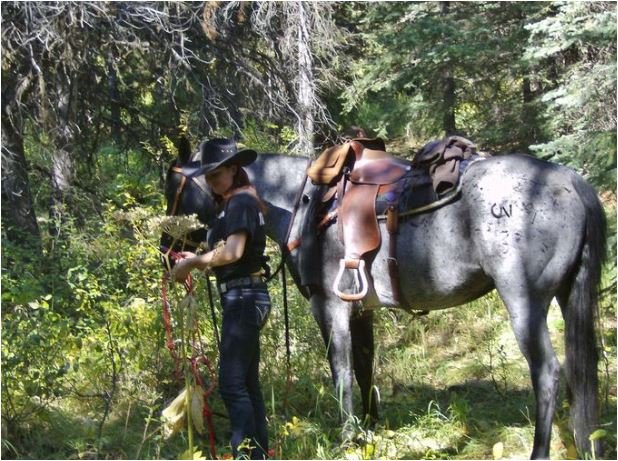 Our Henry and Rossi Mares Leg holsters are made to the weapon you own ...