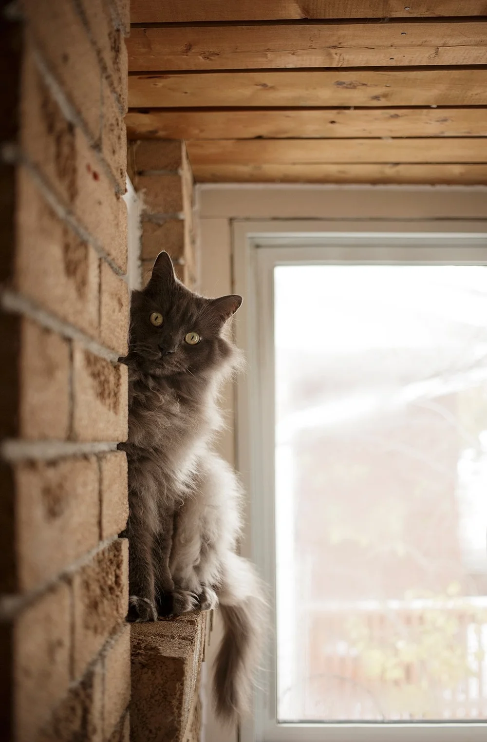 Lauren Barnard Photography - Barrie Photographer