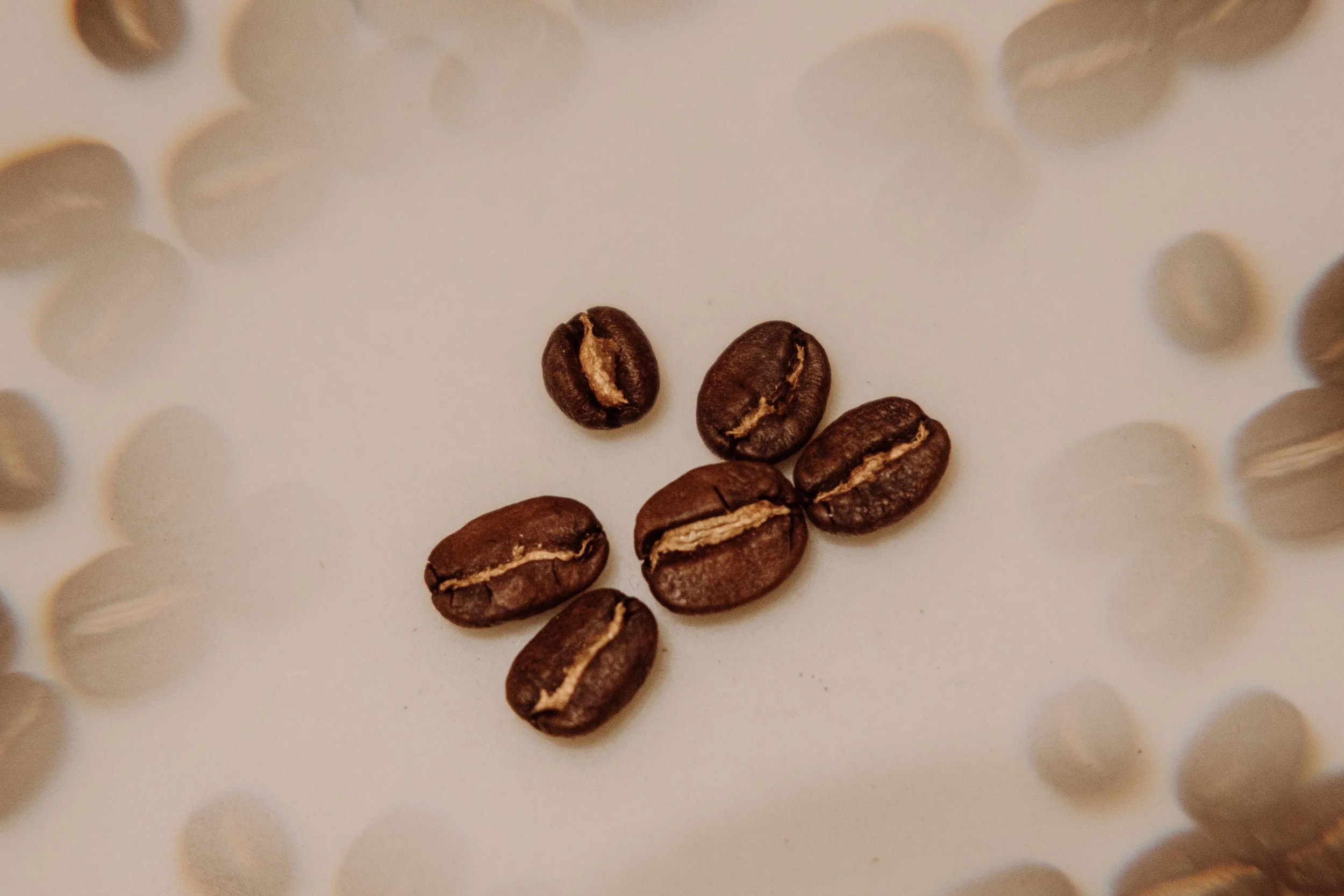Shop | Learn | Visit | Dream Cloud Coffee Roasters | North Shore, MN ...