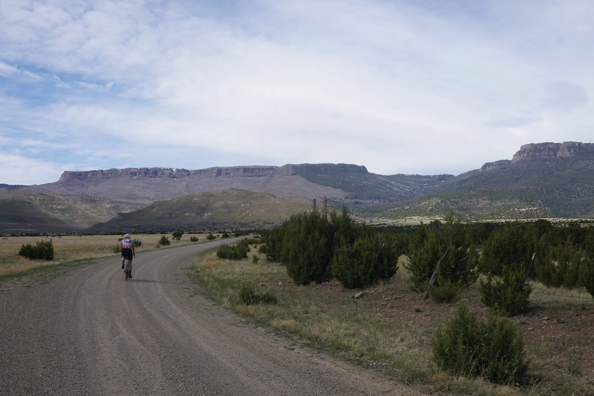 Tarantula Cycles - Bike Shop in Trinidad, CO