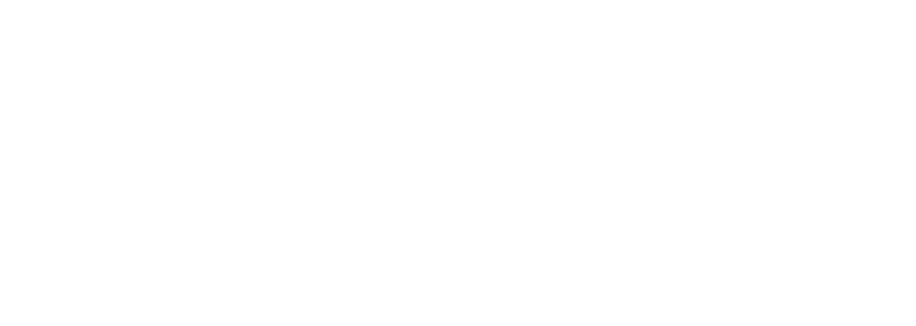 Aurubis AG — The European Chapter of the IPMI