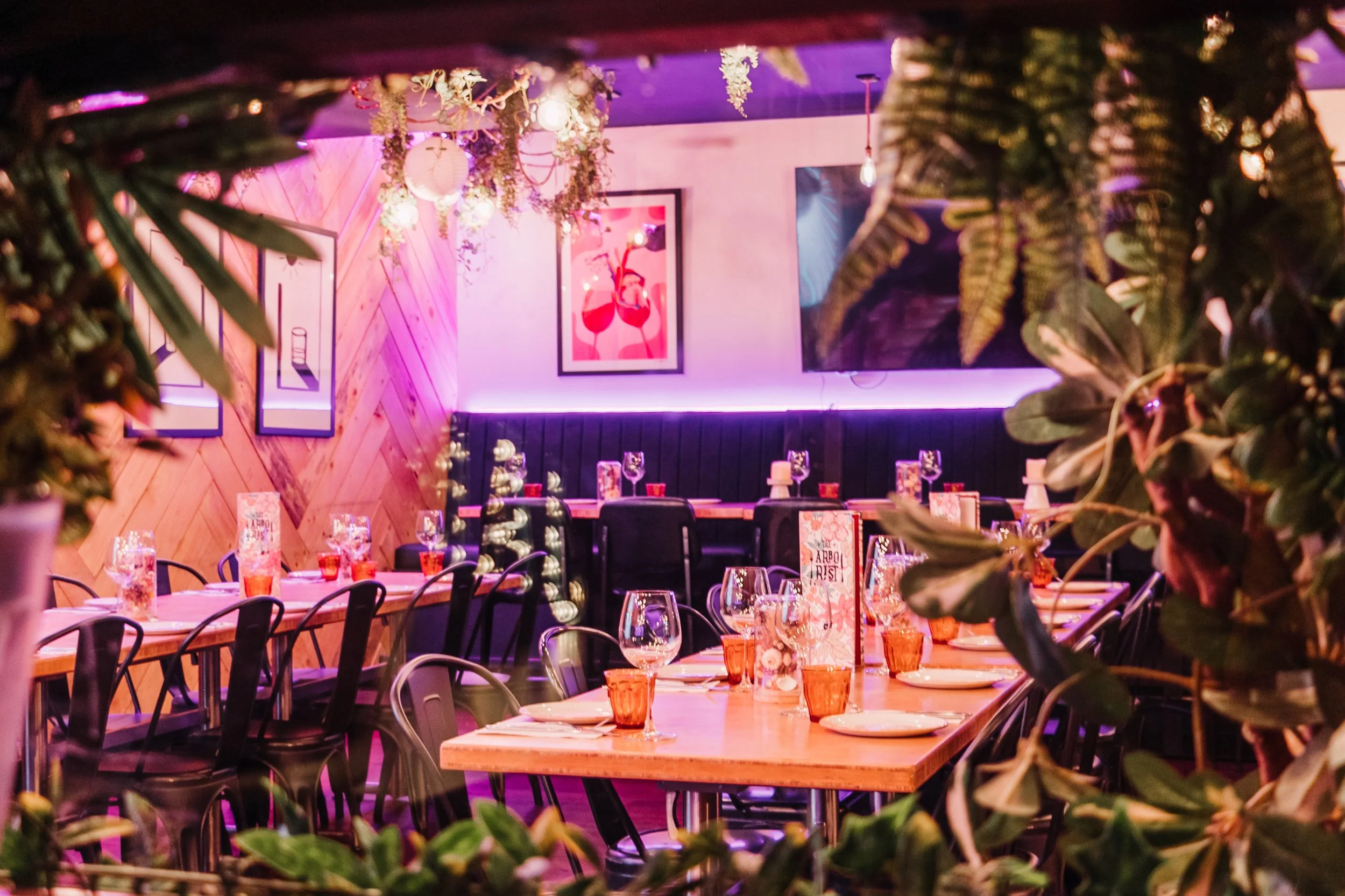 Photos — The Arborist Rooftop bar & Eatery