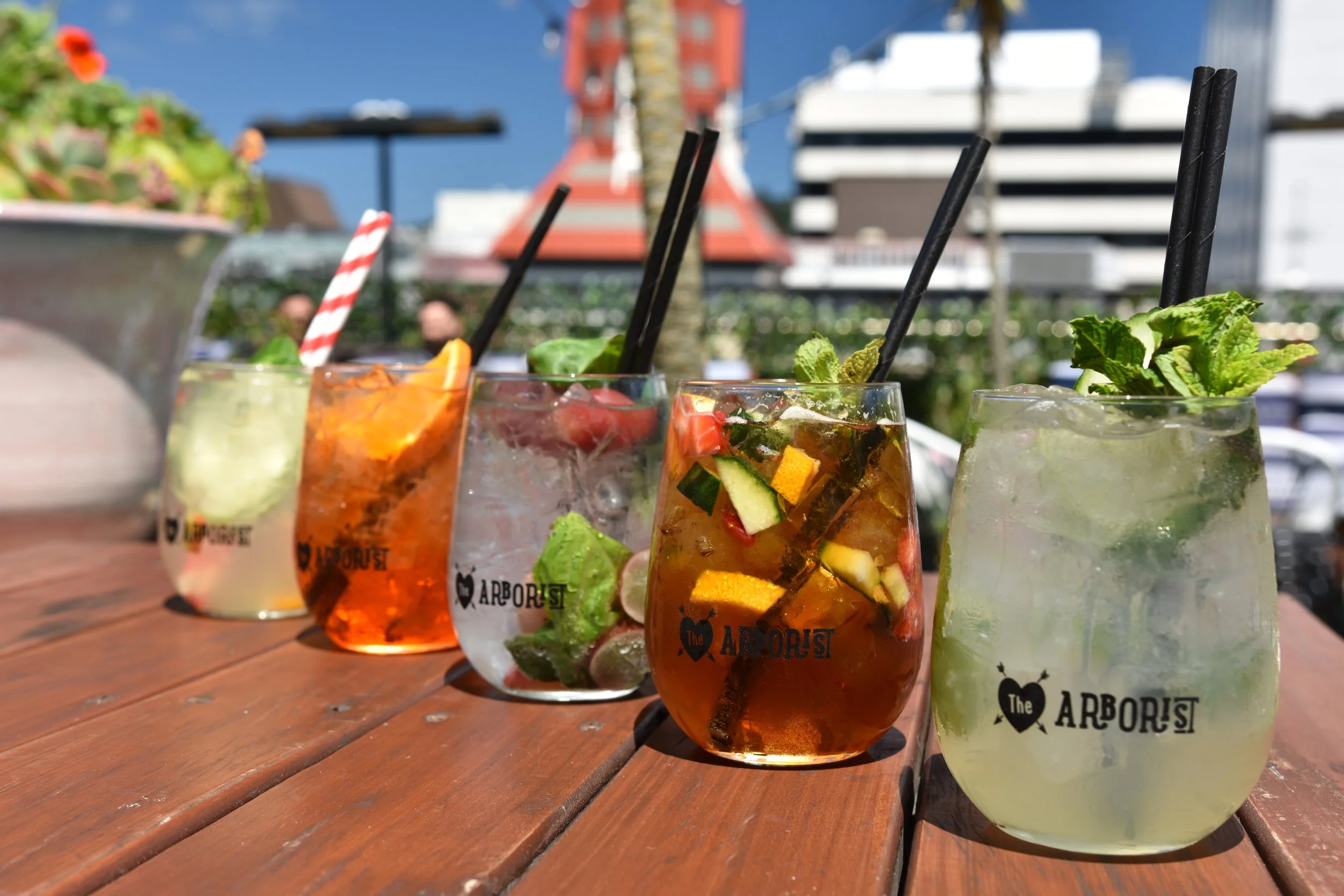 Rooftop Menu — The Arborist Rooftop bar & Eatery