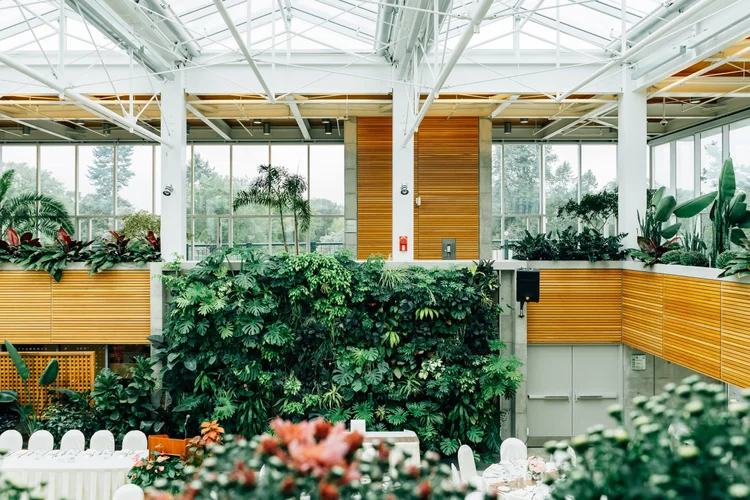 The Botanical Archive | Interior Plant Styling and Biophilic Design