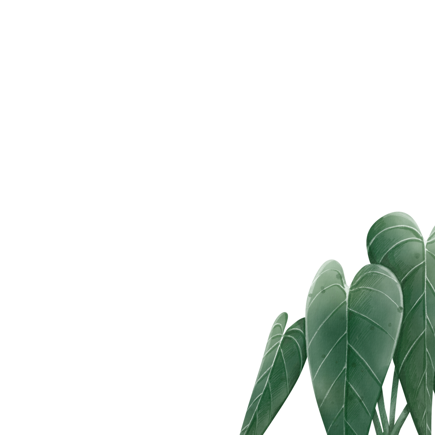 The Botanical Archive | Interior Plant Styling and Biophilic Design