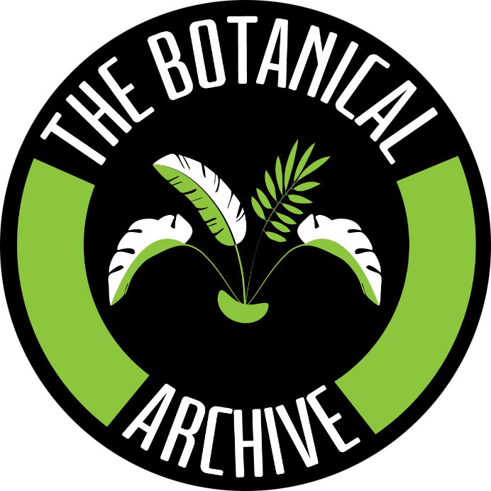 The Botanical Archive | Interior Plant Styling and Biophilic Design