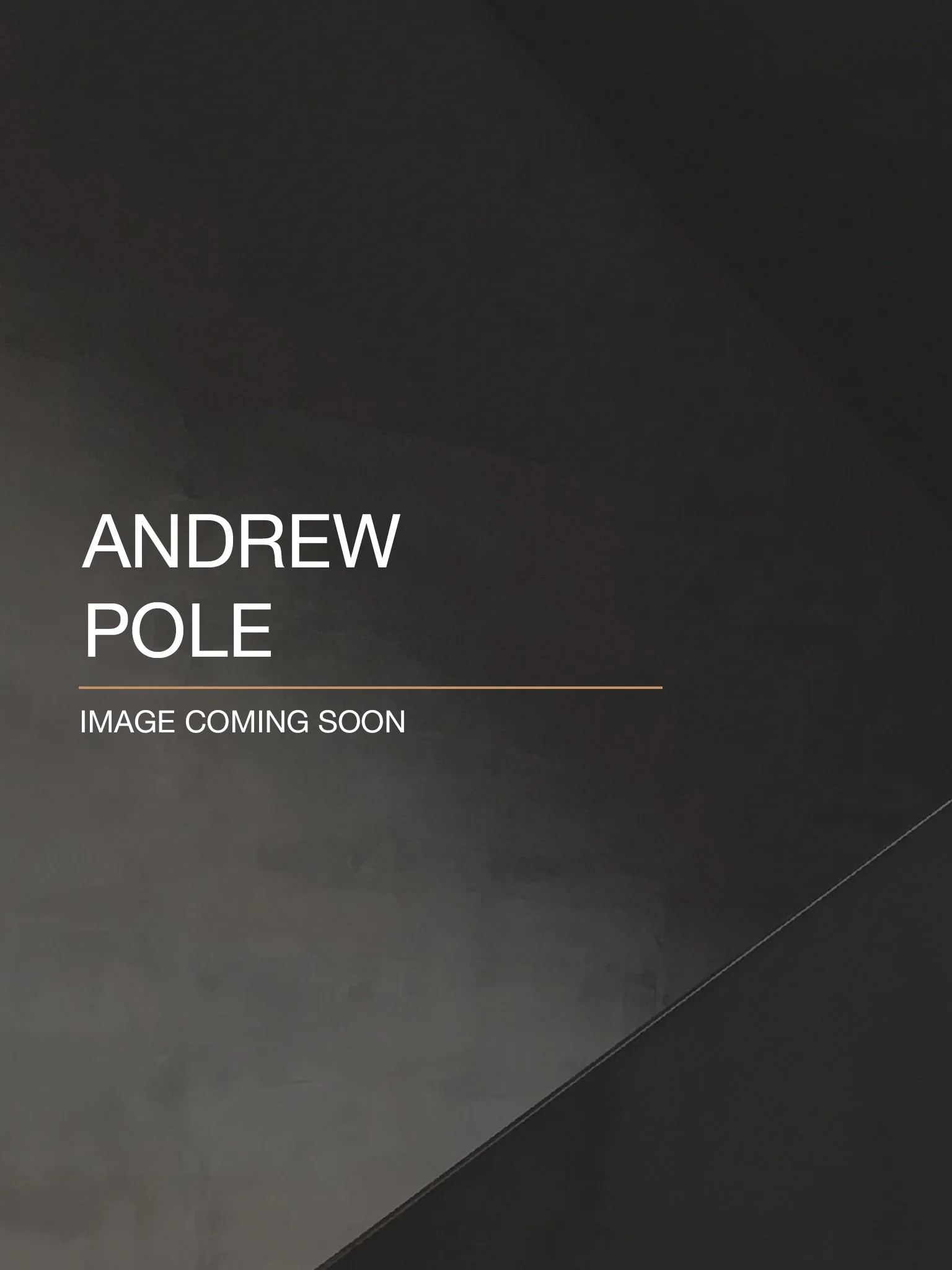 Meet Our Team | FORTH Construction Group