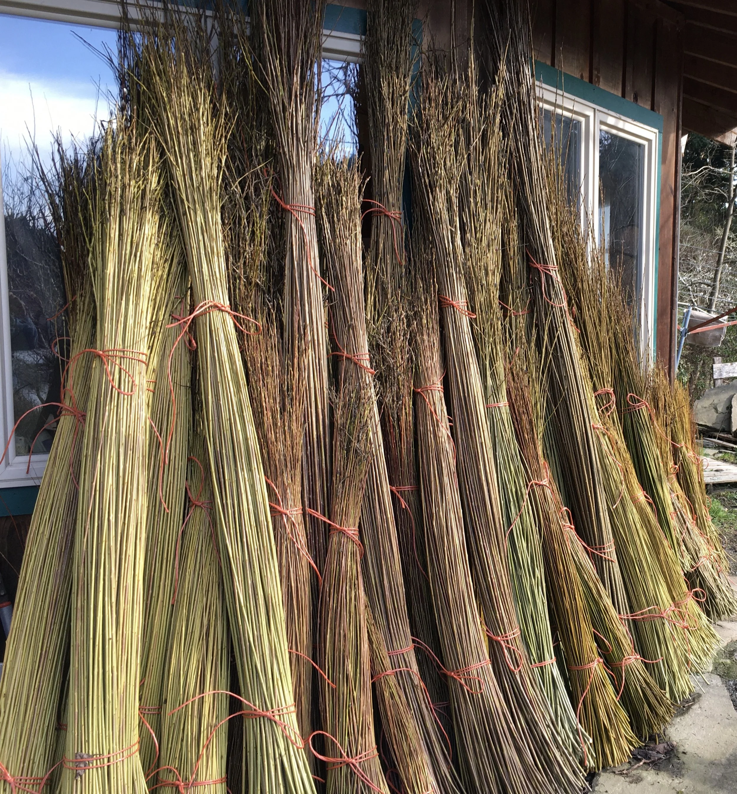Basketry Maria Bullock Swamp Sticks — Swamp Sticks
