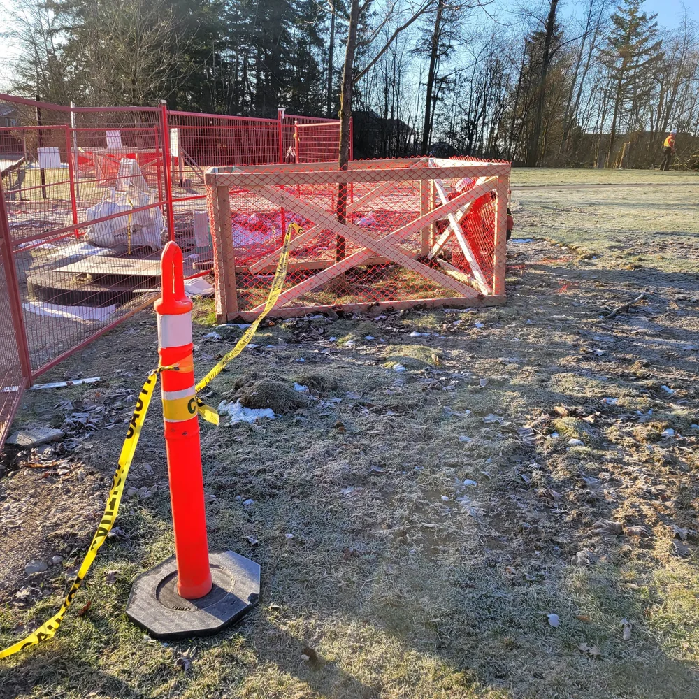 Framing for Surrey Parks Board Tree Protection Program — Against The ...