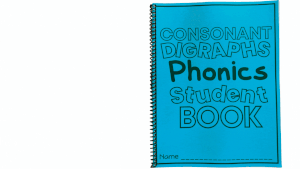 13 Powerful Lessons for Phonics that You Need to Know
