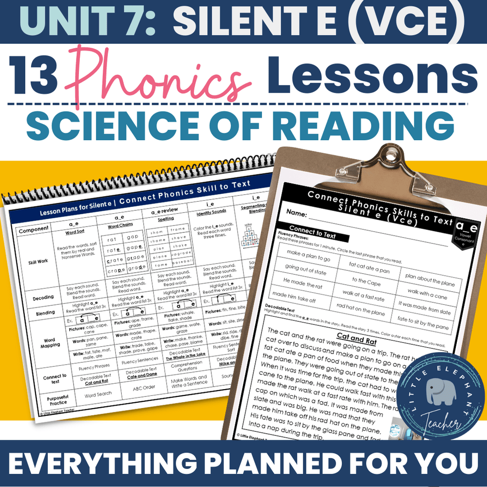 Unit 2 - Short Vowel CVC Words and Lessons - Word Families Printable