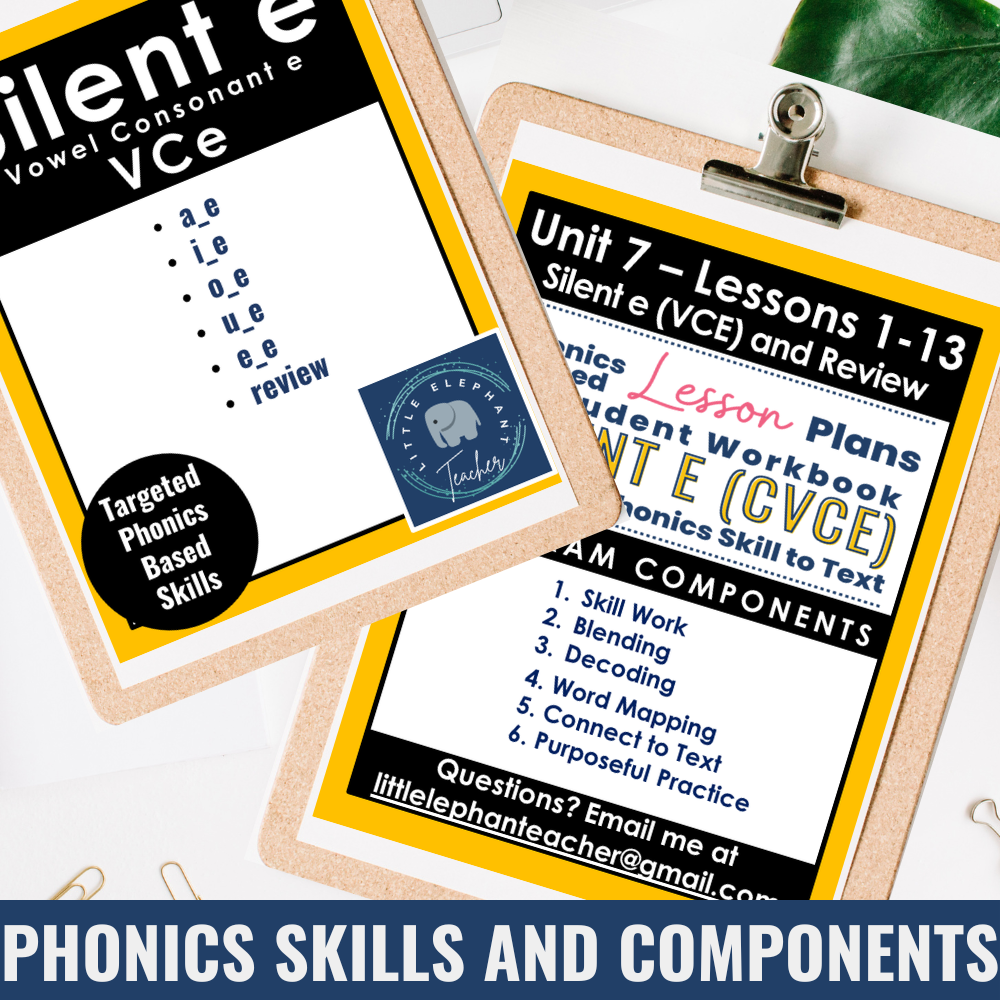 Unit 2 - Short Vowel CVC Words and Lessons - Word Families Printable