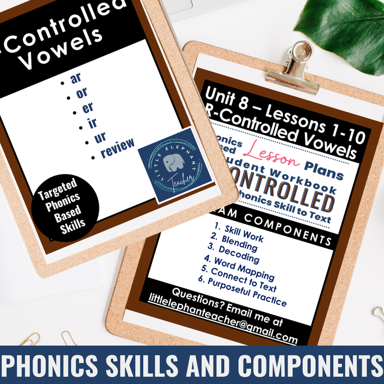 Unit 2 - Short Vowel CVC Words and Lessons - Word Families Printable