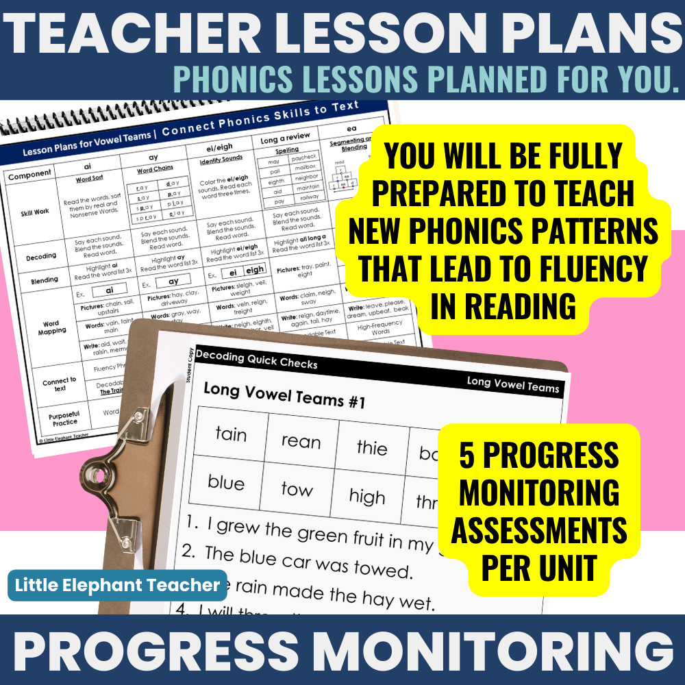 Unit 2 - Short Vowel CVC Words and Lessons - Word Families Printable
