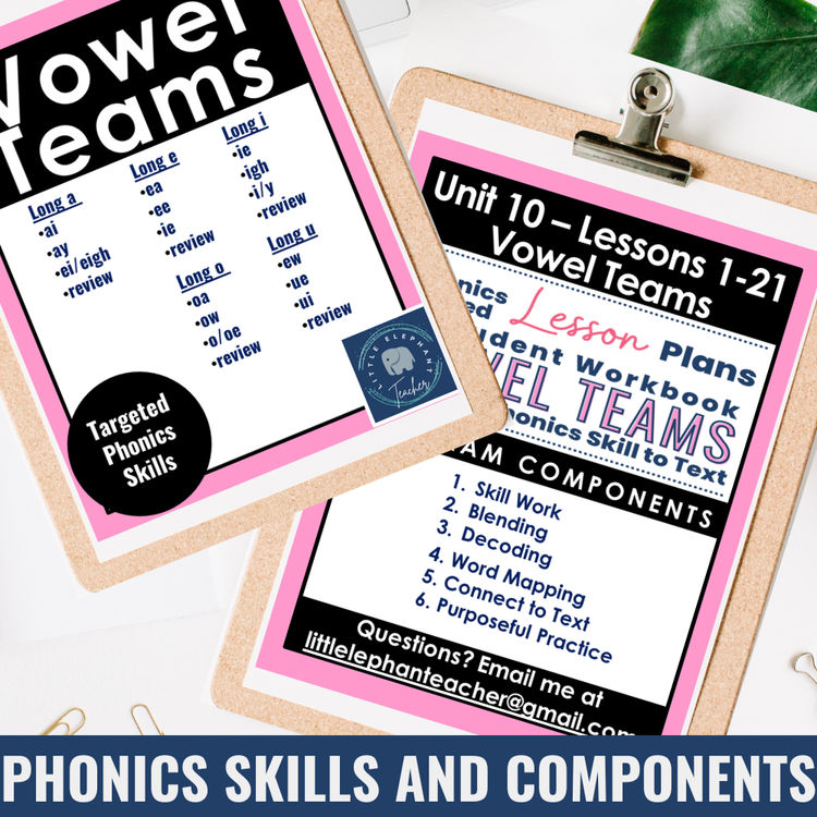 Unit 2 - Short Vowel CVC Words and Lessons - Word Families Printable