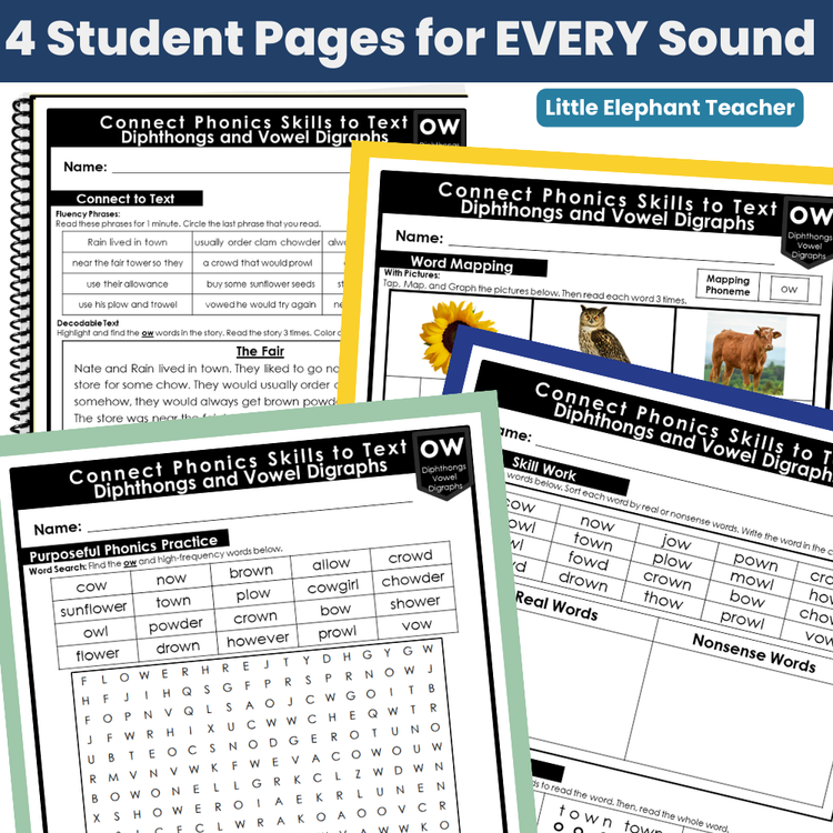 Unit 2 - Short Vowel CVC Words and Lessons - Word Families Printable