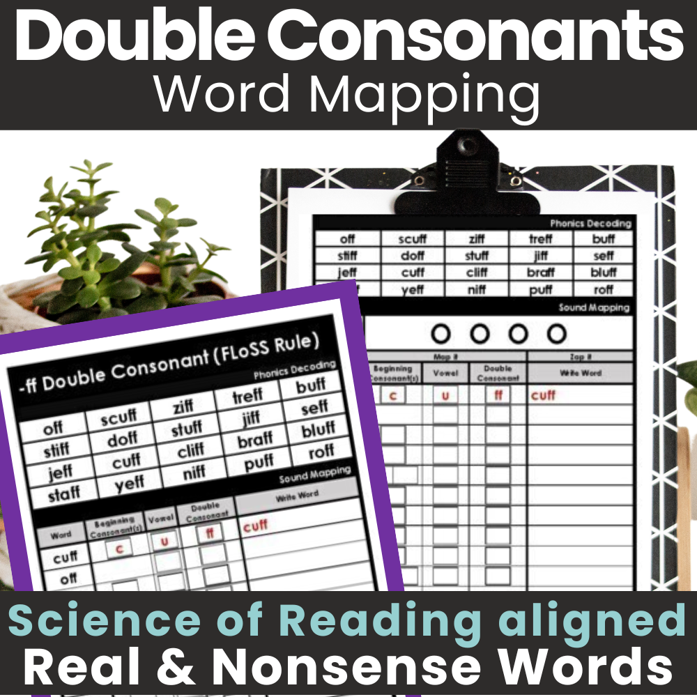 Orthographic Mapping Worksheets