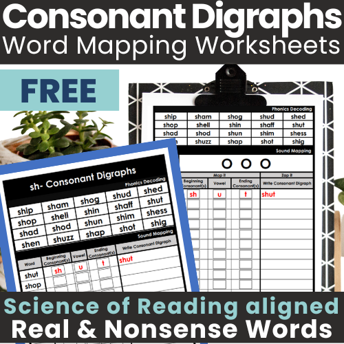 Orthographic Mapping Worksheets