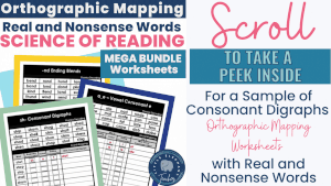 Orthographic Mapping Worksheets