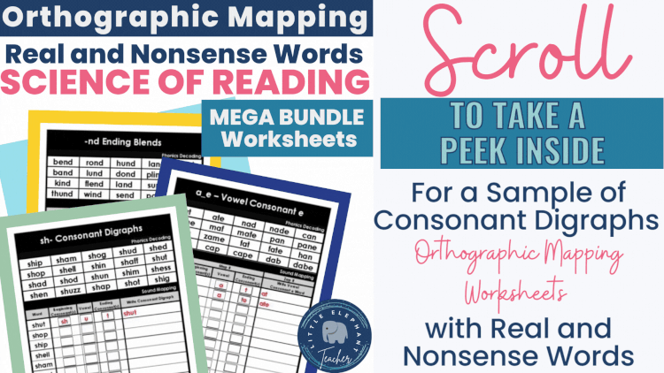 Orthographic Mapping Worksheets
