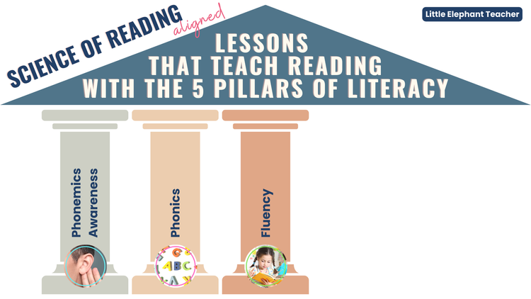 5 Pillars of Literacy- Lessons That Teach Reading