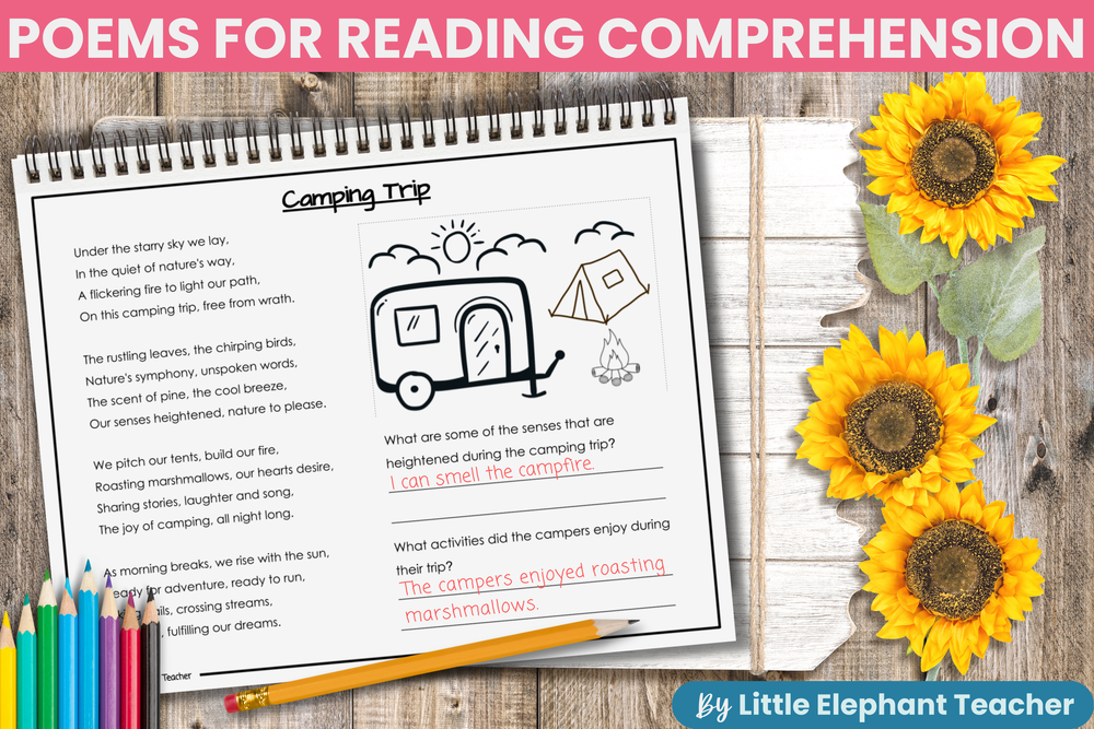 Strategically Crafted Reading Comprehension Questions for Enriching ...