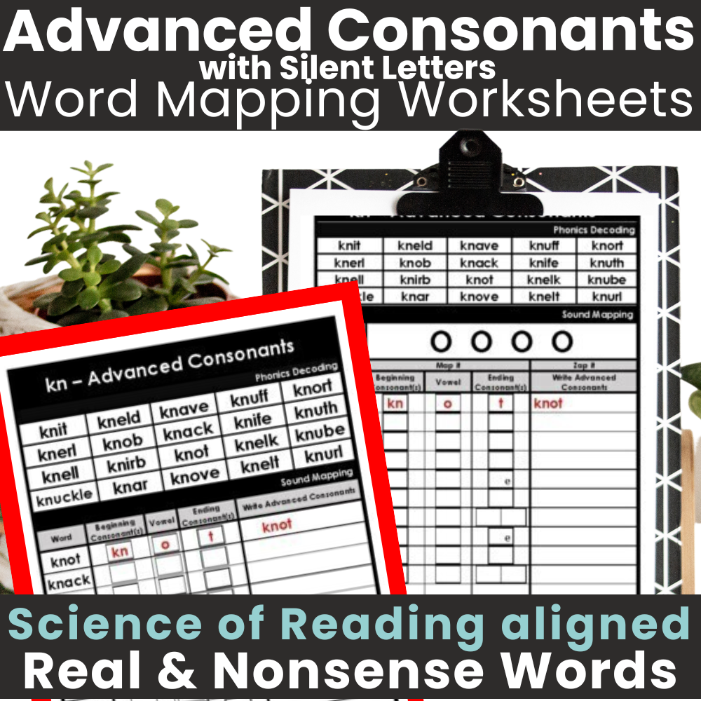 Orthographic Mapping Worksheets