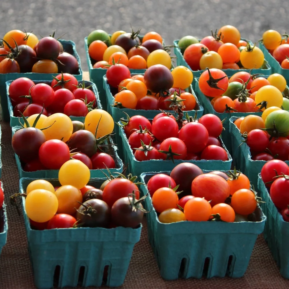 North Adams Farmers Market