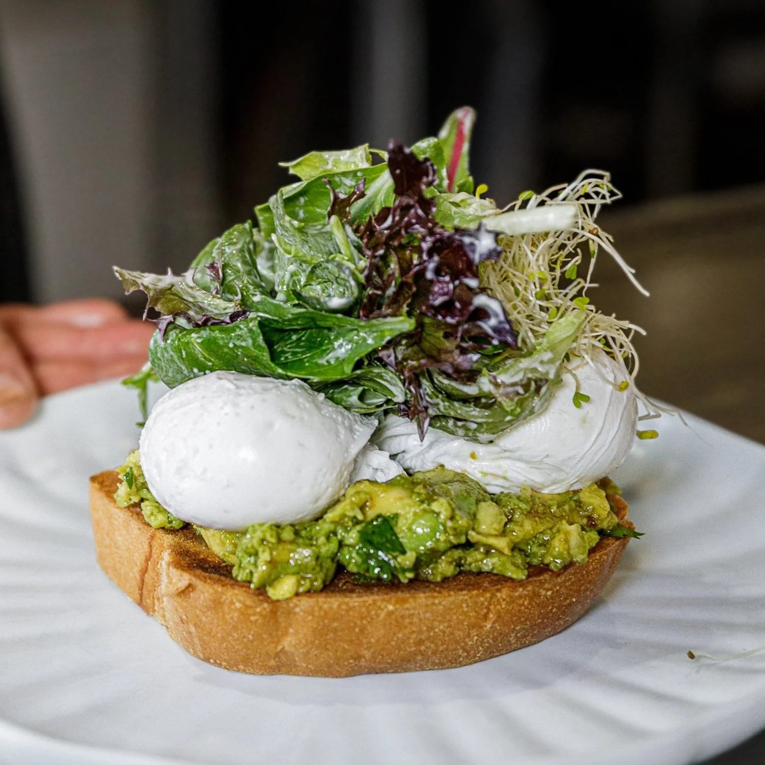 Menu - Kingsland Social — Kingsland Social
