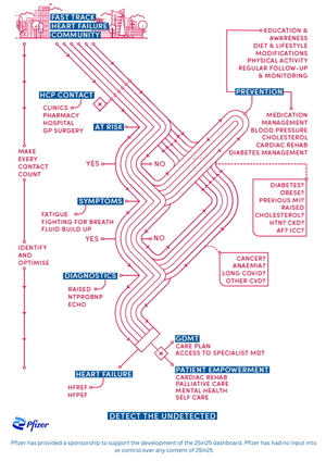 25IN25 — British Society For Heart Failure