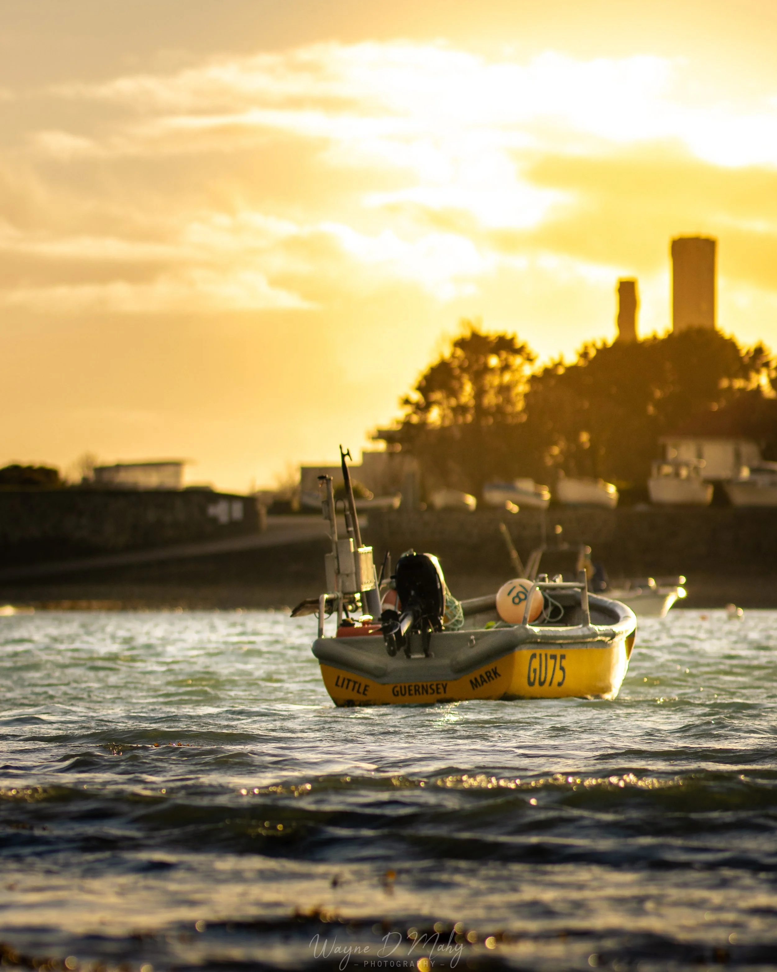 Wayne Mahy Photography