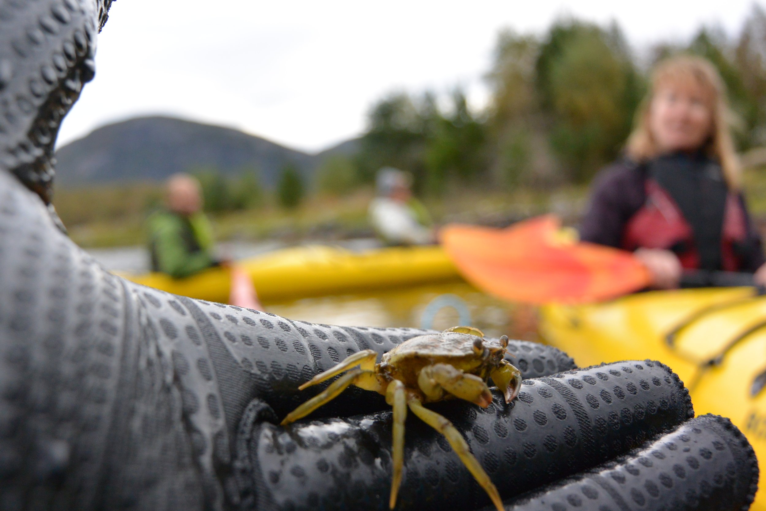 Teambuilding/groups — Fjord Expedition