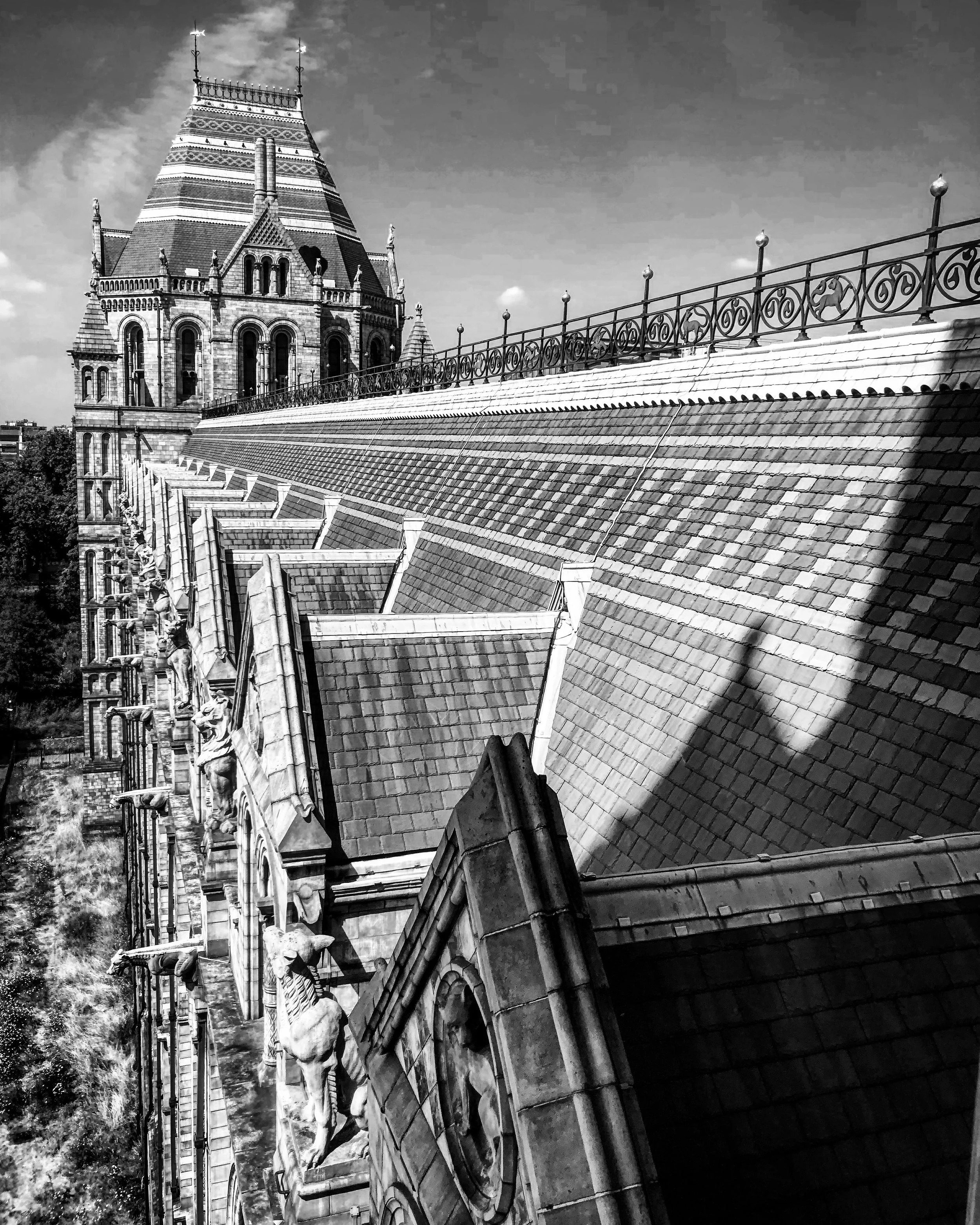 Natural History Museum - The Anning Rooms — Mark Woods