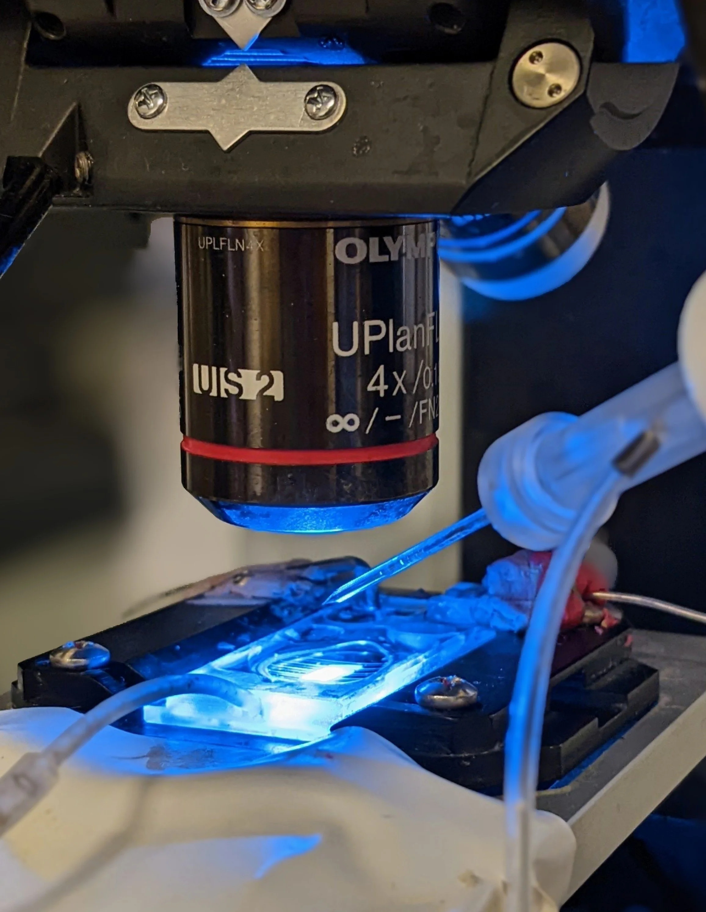 Techniques — The Juarez Lab