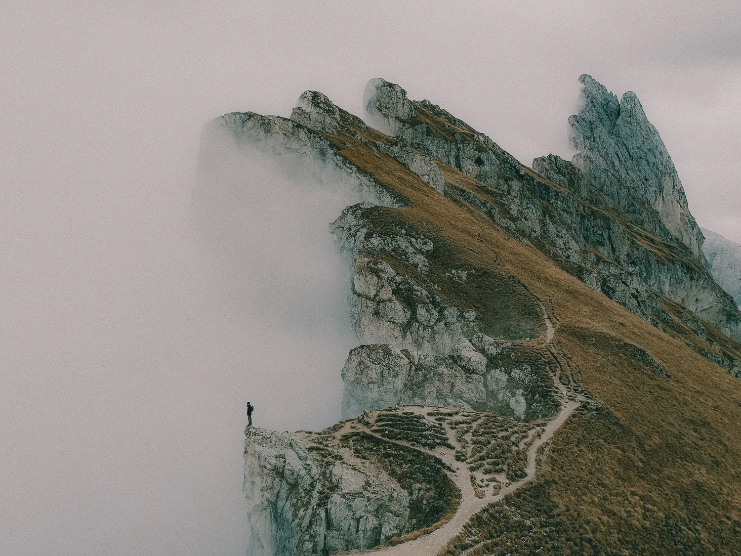 Roots of Belonging | Branding — Somewhere Off Grid Design Agency