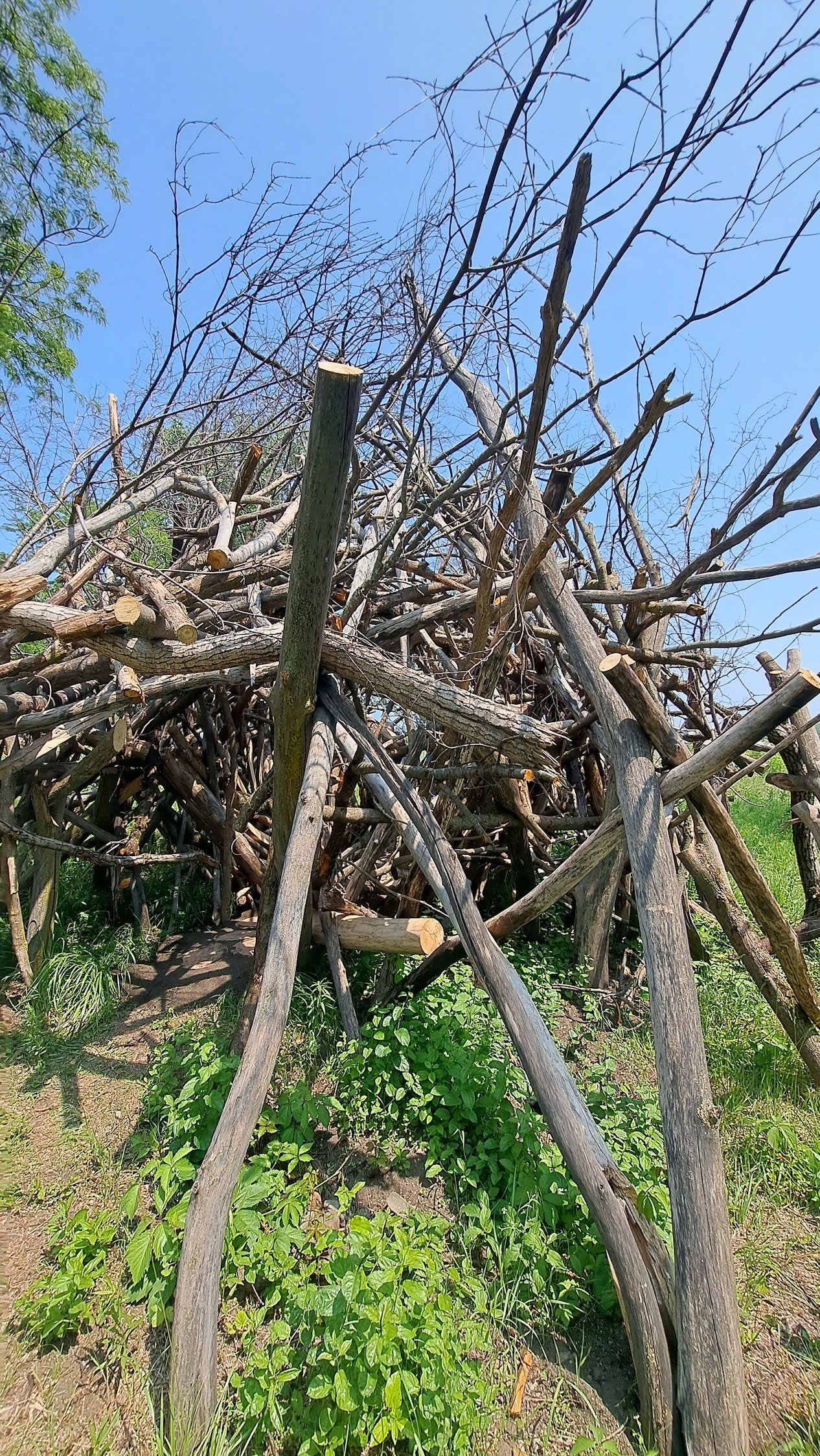 Big Marsh Park — Chicago Sculpture International